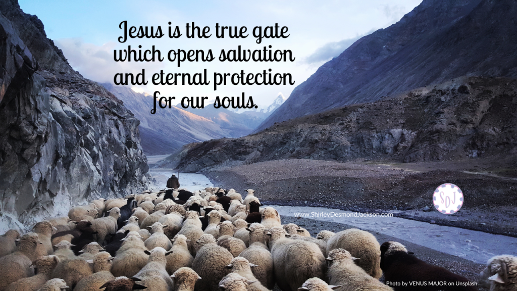Jesus Is The Gate For The Sheep — Why This Is Important | Shirley ...